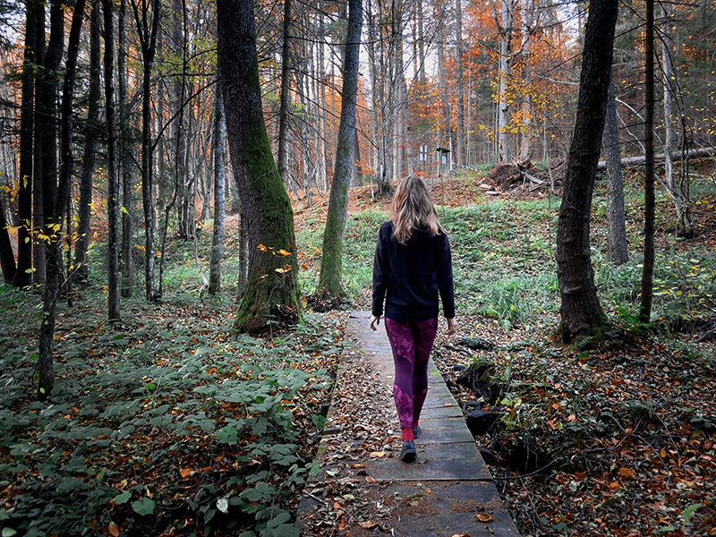 Mindful Walking: A Path to Psychological and Physiological Well-being